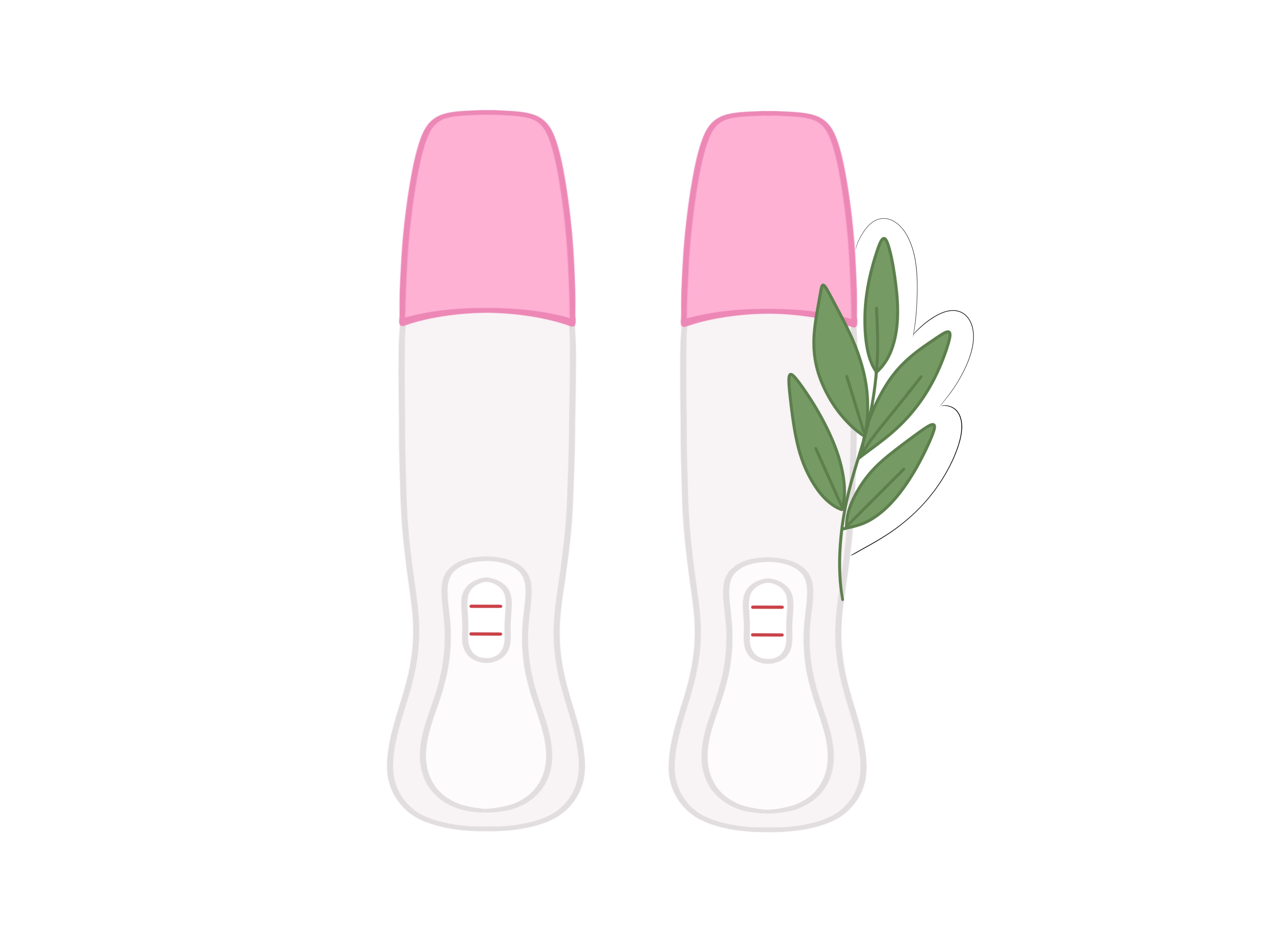 Pregnancy Test with or without Greenery Cookie Cutter ...